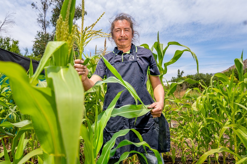 Más de 640 productores acceden a subsidio INDAP en resguardo a caída ...