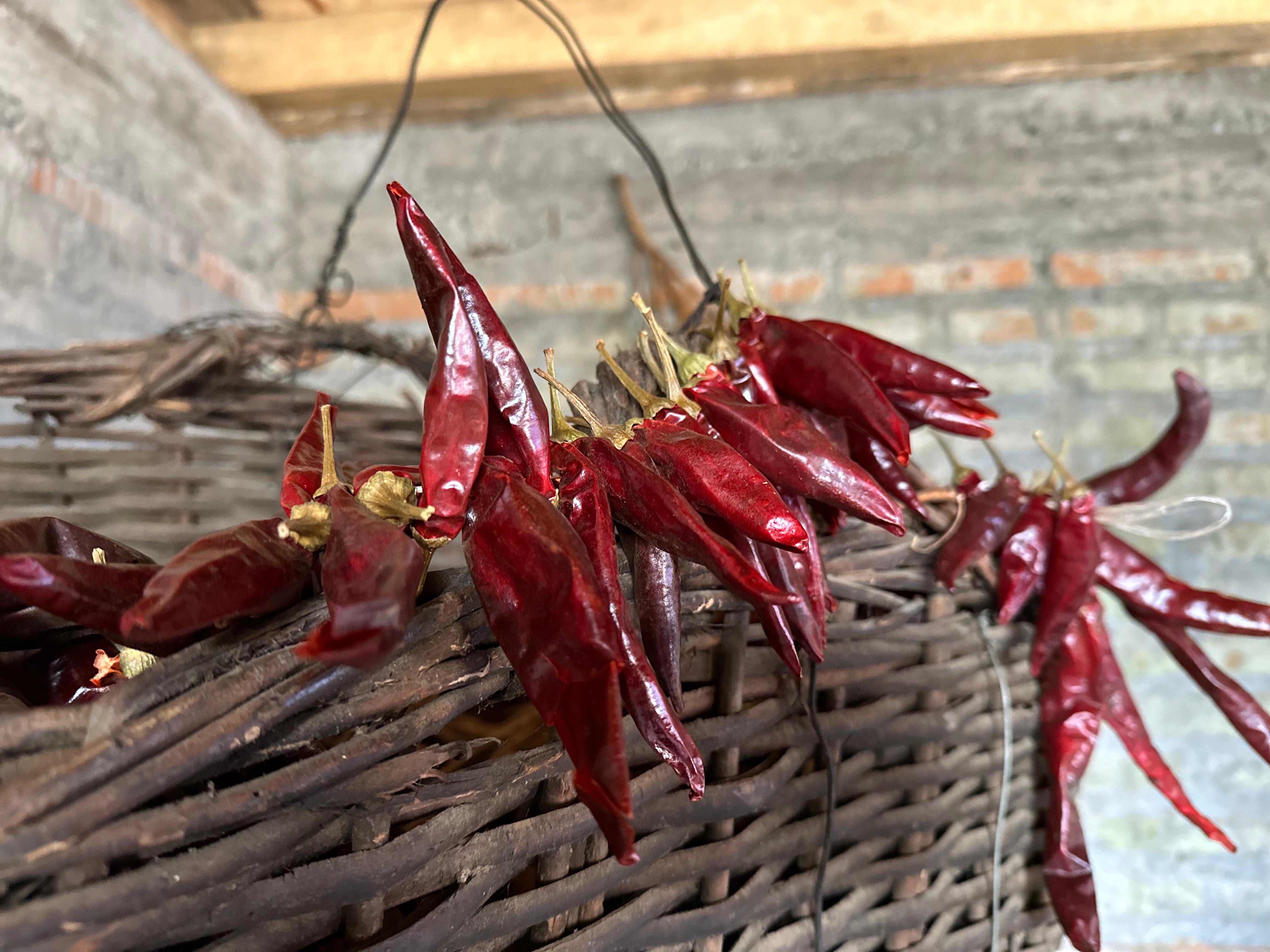 Desde el campo: Ingredientes con sabor e identidad para celebrar el Día ...