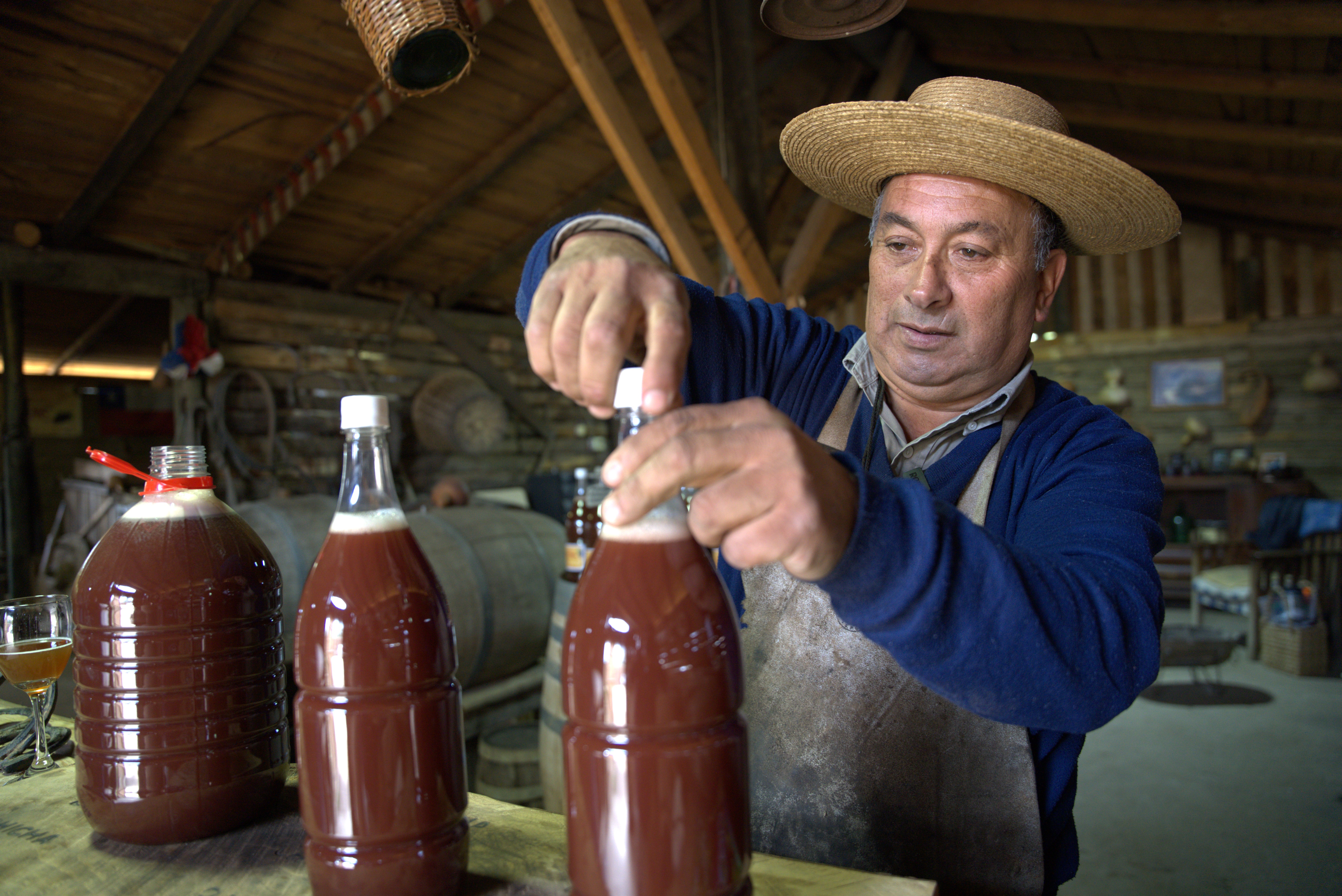 Un 18 con chicha y cariño por la tierra desde la tradición de Curacaví ...