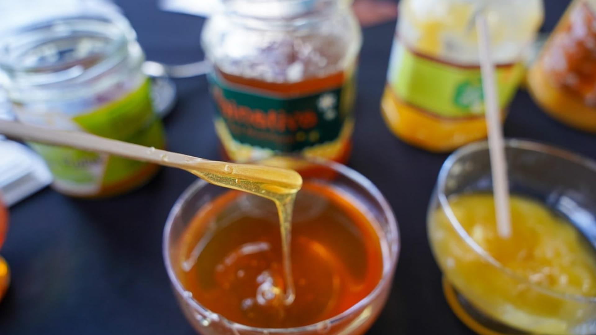 Día Nacional de la Miel: Aumentar consumo y proteger a las abejas son ...